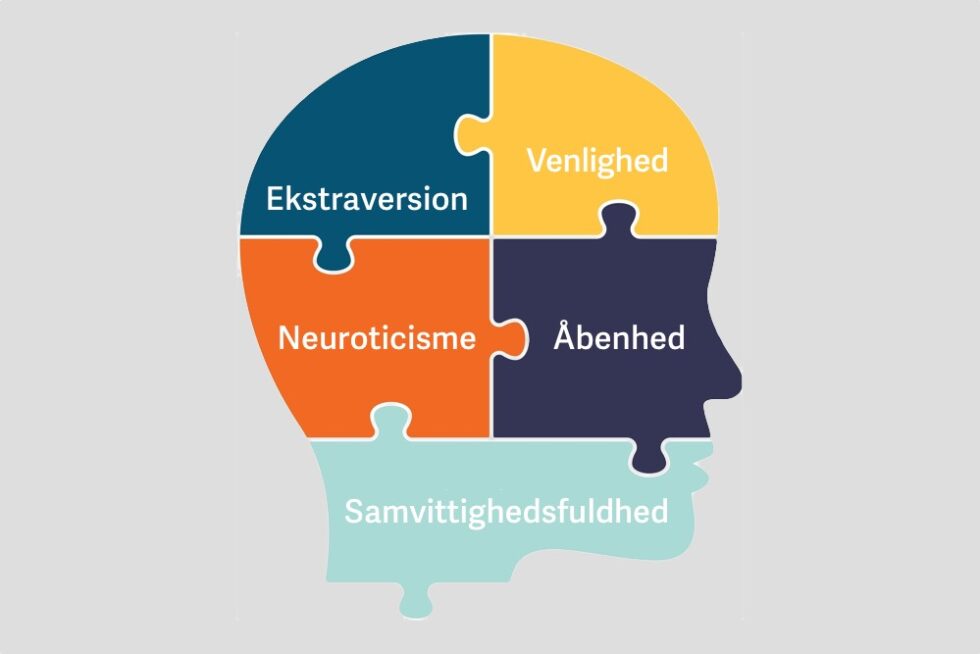 5-faktor modellen (the big five): 5 karaktertræk i din personlighed